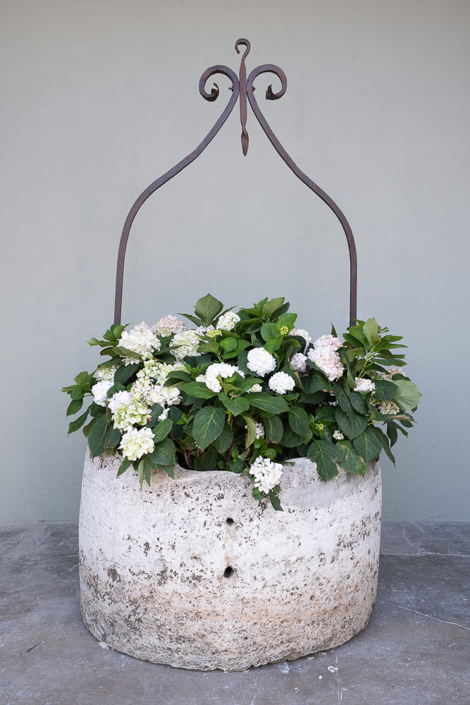 Antique Garden | Houston TX